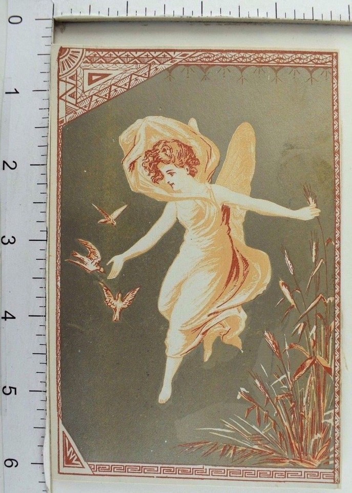 1870's-80's Victorian Trade Card Beautiful Fairy Flying Wheat Birds &C ...