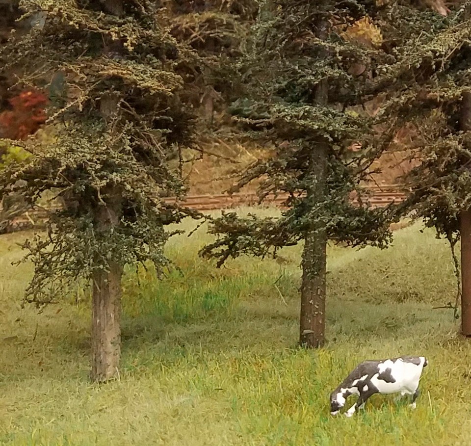 Model Fir Trees, 7 in tall, SIX, ALL WOOD Handmade USA, HO-N-O-S scales ...