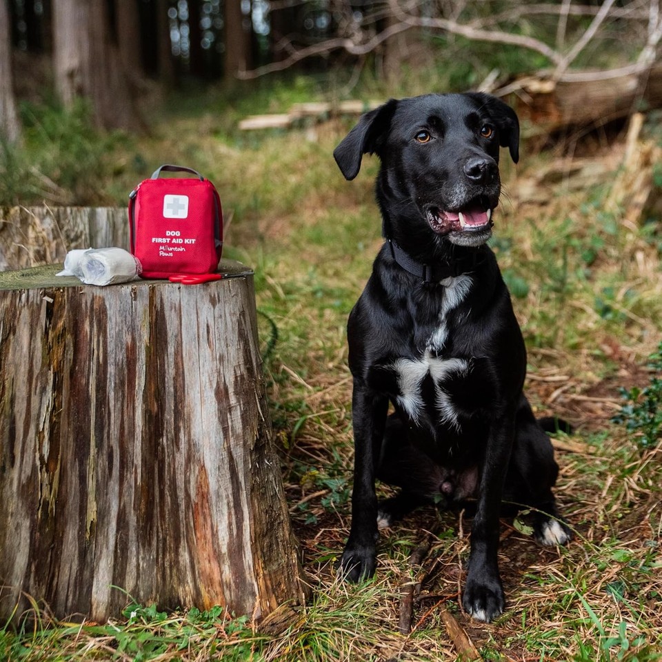 Mountain Paws Multi Purpose Travel Sized Dog First Aid Kit for Home ...