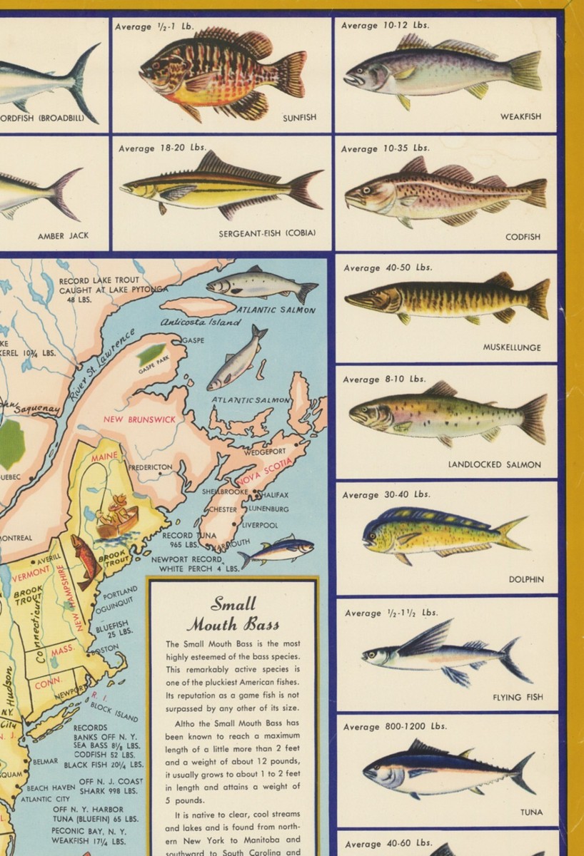 Vintage Map Vintage Big Game Fish Map Of North America - 24x24 Inch ...