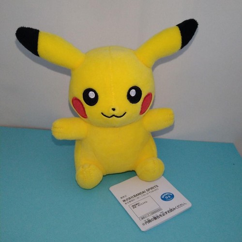 Pokemon Pikachu Plush Toy, Tag, Portable, for Kids & Fans (Used) | eBay