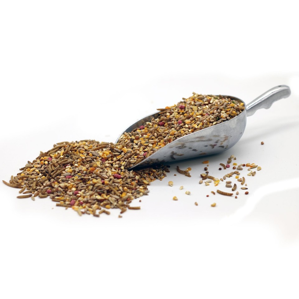 Value Large Wild Bird Scatter Mix 20kg High Energy Calci worms grains ...