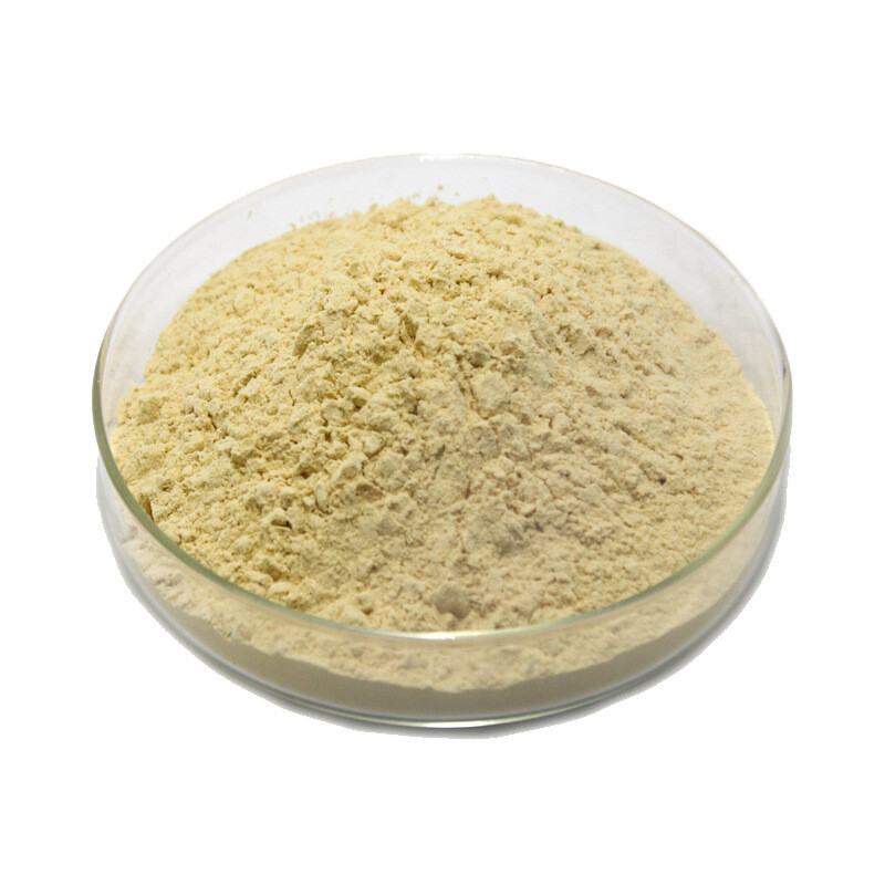 200g Pure Ginseng Saponin 80% American Ginseng Extract Powder | eBay