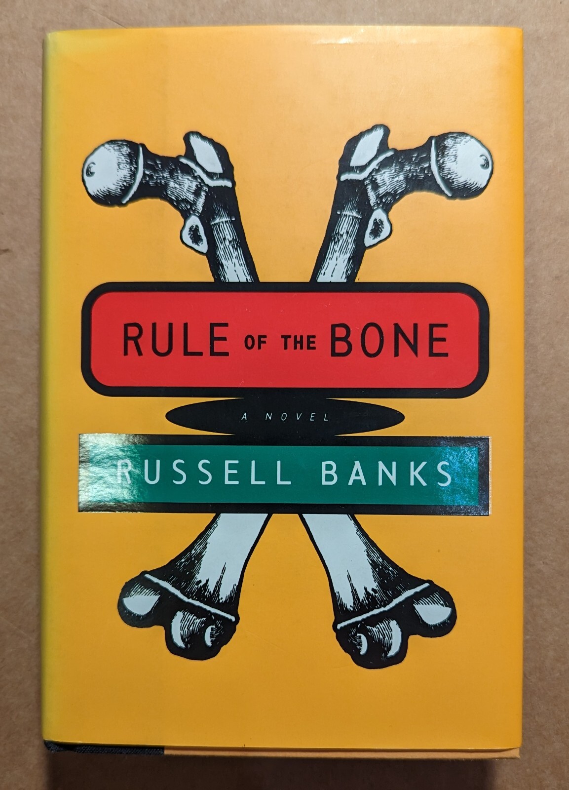 Rule of the Bone by Russell Banks (1995, Hardcover) 1st Edition ...