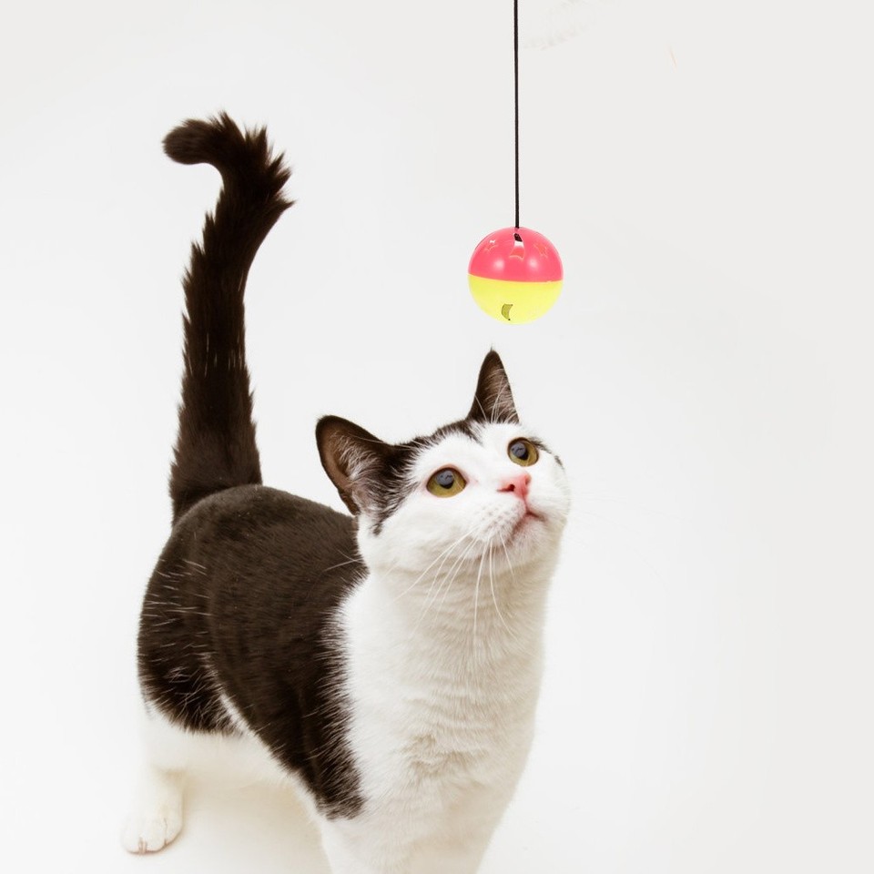 10Pcs Cat Bell Toy Cup Bell Toy Cat Teasing cat toys pet toys | eBay UK