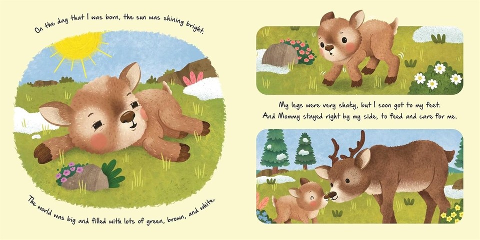 Rose Harkness Gisela Boh rquez Nature Stories: Little Reindeer (Board ...