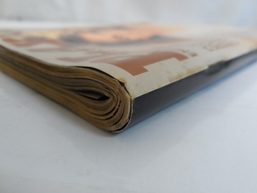 PLAYBOY JUNE 1981 PMOY TERRI WELLES BOND GIRLS CATHY LARMOUTH (766) | eBay