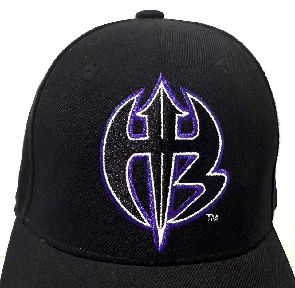 Hardy Boyz Hat WWE Y2K Vintage Jeff Matt Strap Back Rare | eBay
