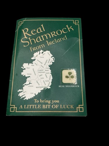 Real Shamrock from Ireland real seeds inside rare find | eBay