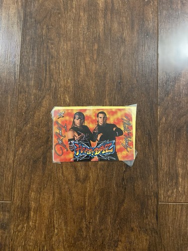 HARDY BOYS 2000 WWF/WWE Wrestling BIG Sticker 4x3 SHINY with moving ...