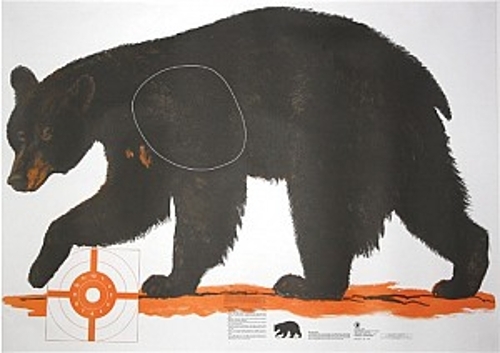 Bear Shooting Targets