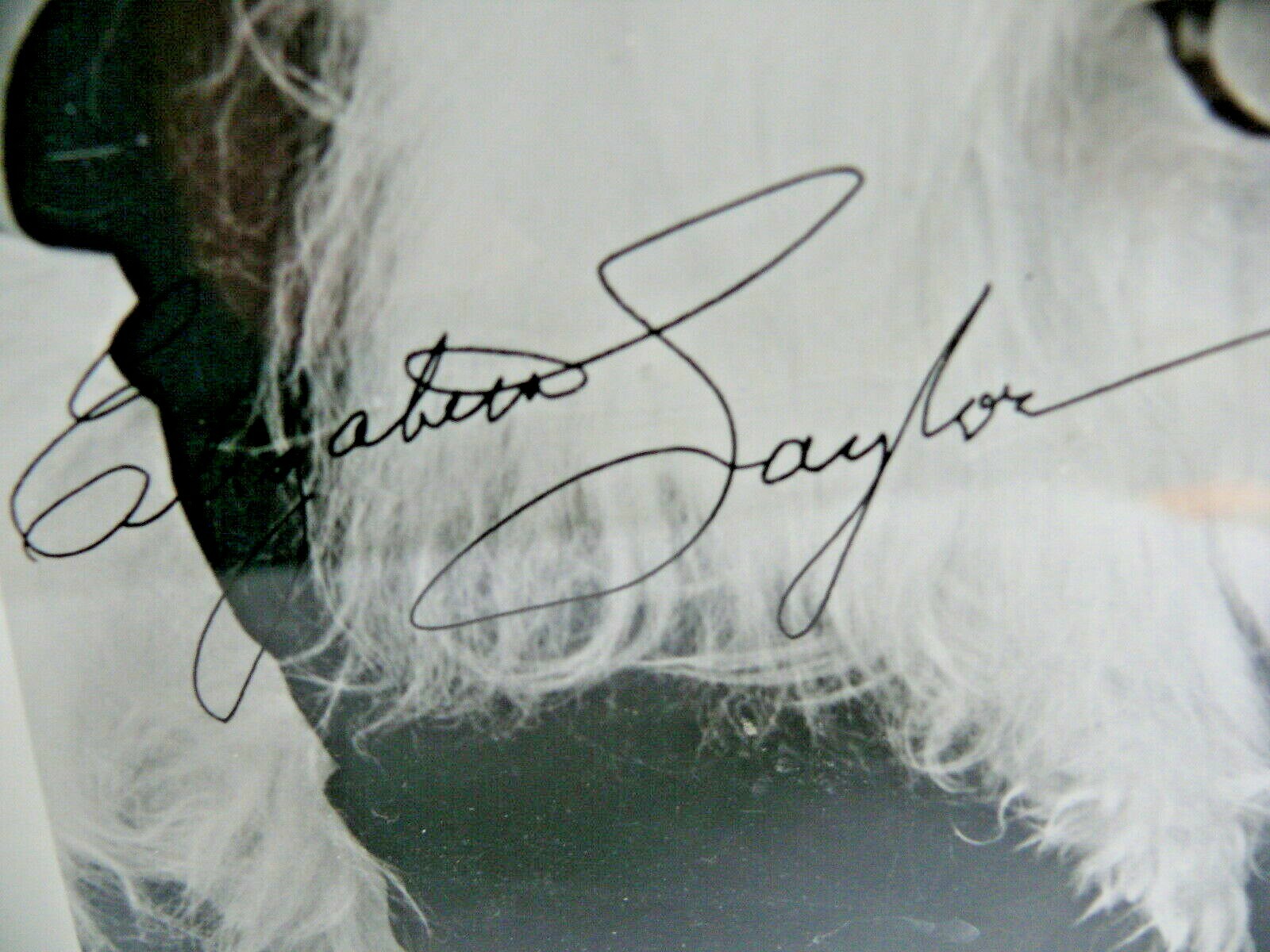 Elizabeth Taylor Autographed Autopen 8x10 Framed Photo Pre-Owned | eBay