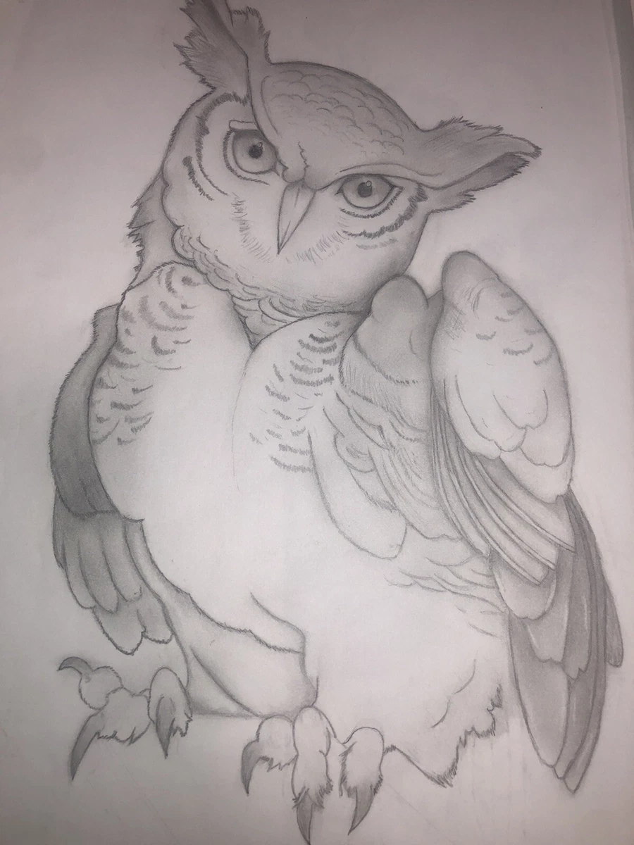 Easy Realistic Owl Drawing