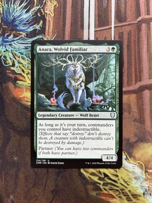 MTG Anara, Wolvid Familiar - 214 / English / Near Mint | eBay