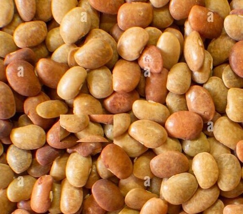 Horse Gram kollu Vulavalu Horsegram - 1kg 2kg 5kg 10kg 15kg 20kg 30kg ...