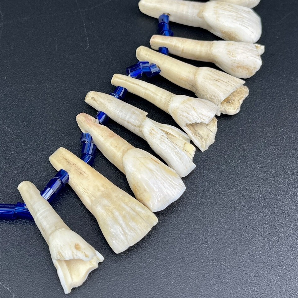 OLD Native American Buffalo Tooth Necklace Plains Tribe Glass Beads ...