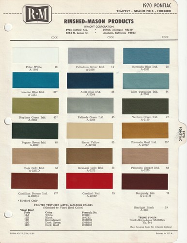 1970 Pontiac GTO Lemans Firebird Grand Prix Tempest Paint Chips (R-M)