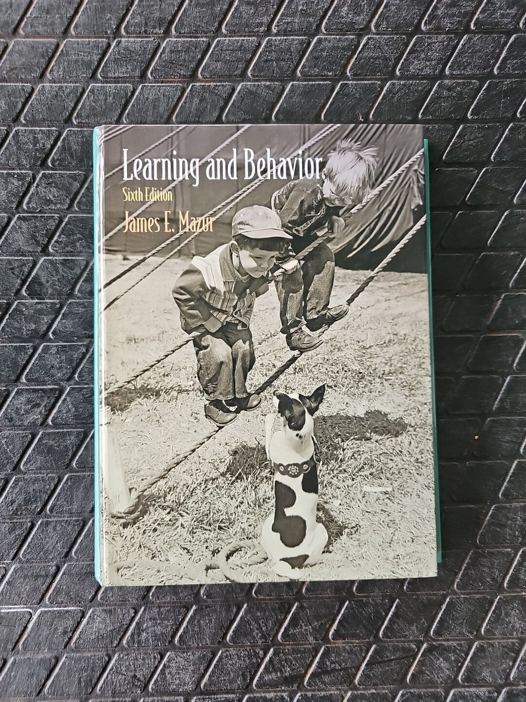Learning and Behavior - Sixth Edition By James E. Mazur [Hard Cover] | eBay