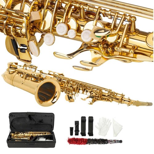 Professional Saxophone Sax Eb Be Alto E Flat Brass with Case+Care Kit ...