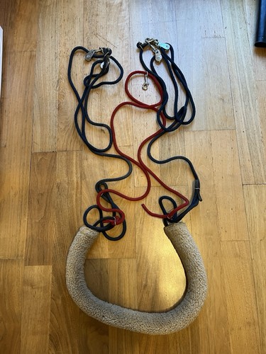 Whitaker Pessoa Training Lunging Aid | eBay UK