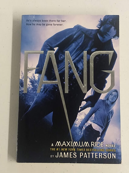 Maximum Ride Movie Poster