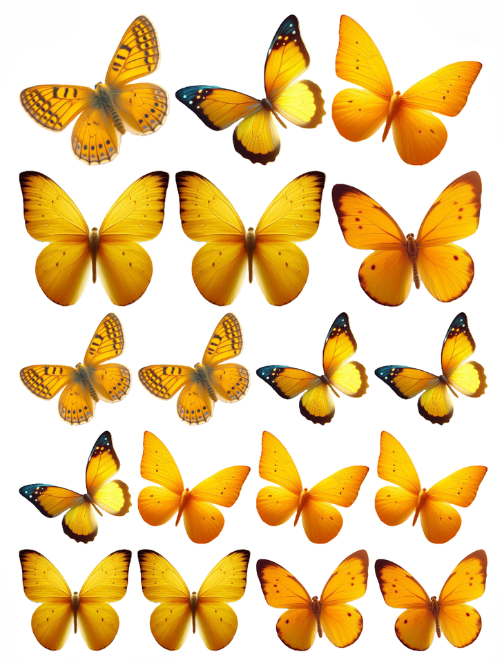 Edible Butterflies Cake Décor, 12, 18 or 24 on Wafer Paper or Card ...