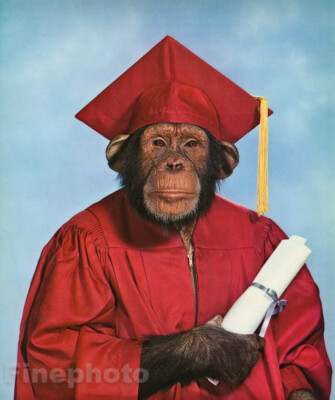 1959 MONKEY HUMOR Chimpanzee GRADUATION STUDENT College Education ...