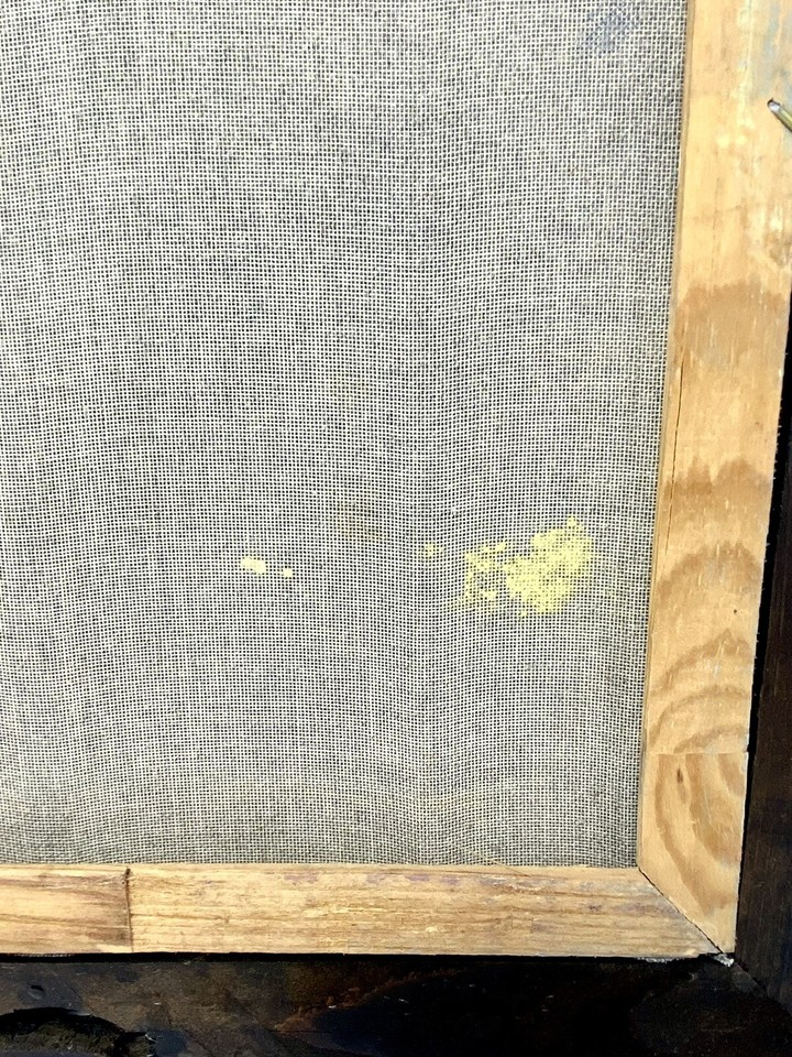 Tribal Howling Wolf Spirit ~SANCHEZ Velvet Painting ~Mexico ~23" W x 19 ...