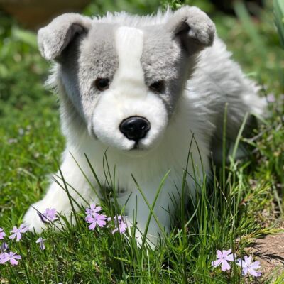 Auswella Plush 20 Inch Border Collie Plush Stuffed Animal-Border ...