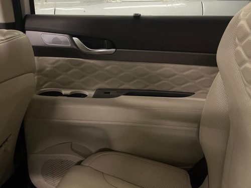 2020-2022 HYUNDAI PALISADE REAR RIGHT PASSENGER SIDE DOOR TRIM PANEL W ...