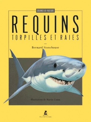 Requins, torpilles et raies, Bernard Stonehouse et Martin Camm | eBay