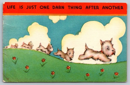 Postcard Vintage LIFE IS JUST ONE DARN THING AFTER ANOTHER Wheaton ...