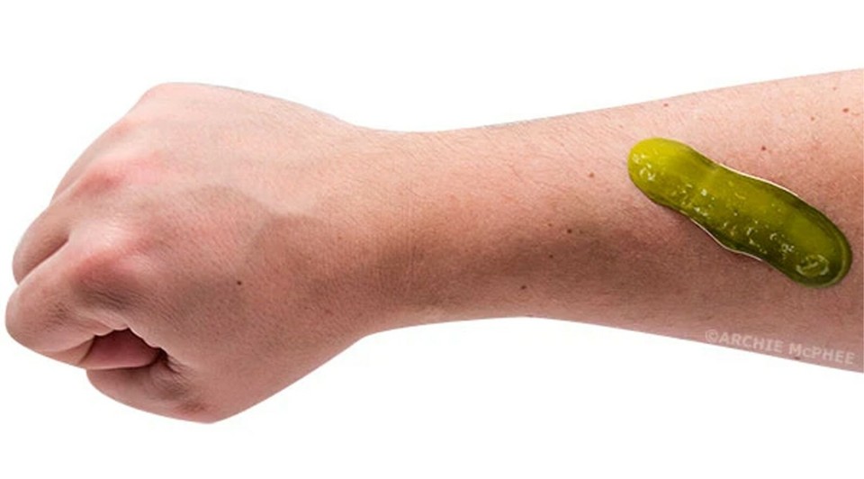 PICKLE BANDAGES - Tin Large Band Aids Latex - Novelty Gag Gifts | eBay