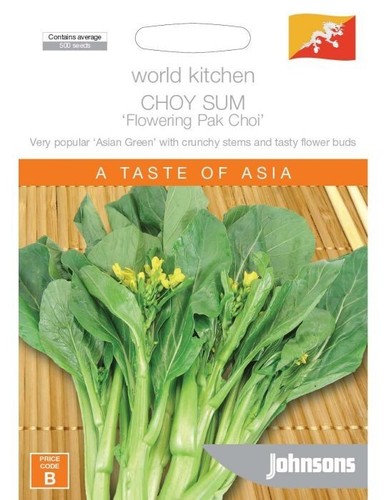 SALE! World Kitchen CHOY SUM Flowering Pak Choi - 500 Seeds. Taste of ...