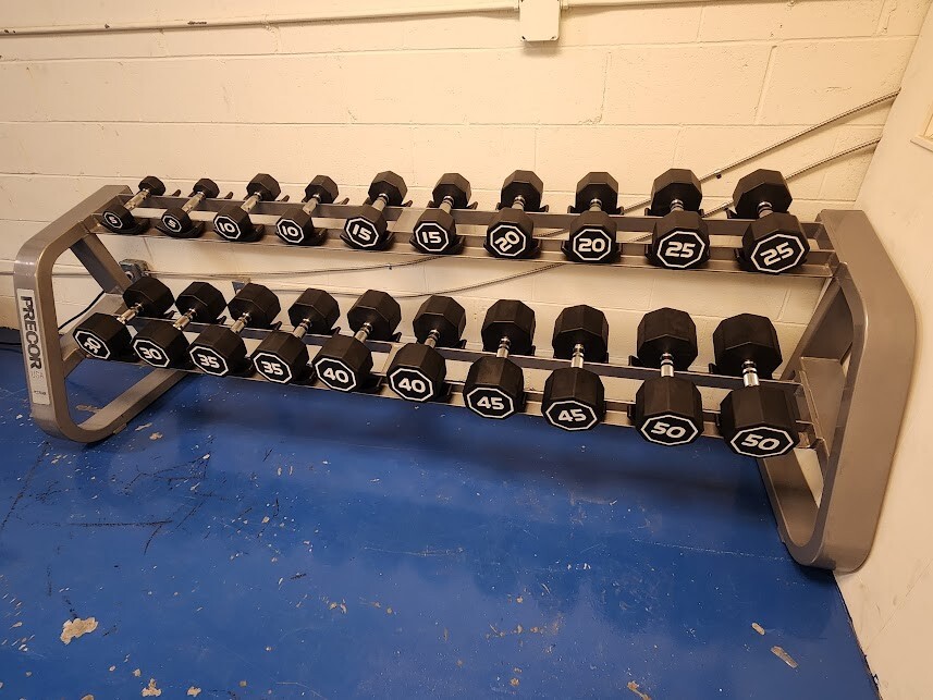 Precor Icarian 2 Tier Saddle Dumbbell Rack (10 Pairs), DUMBBELLS NOT ...
