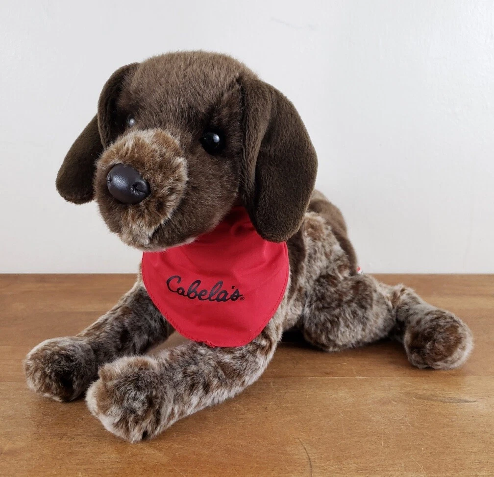 Does Cabelas Allow Dogs Inside