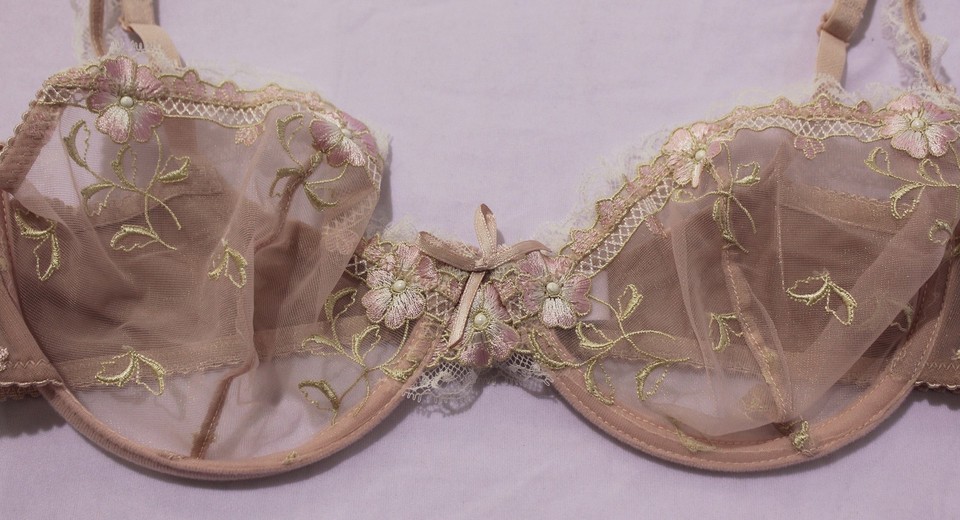 Suzanne Vega Women's Floral Lace Mesh Lingerie Set AC2 Pink Size US:36D ...