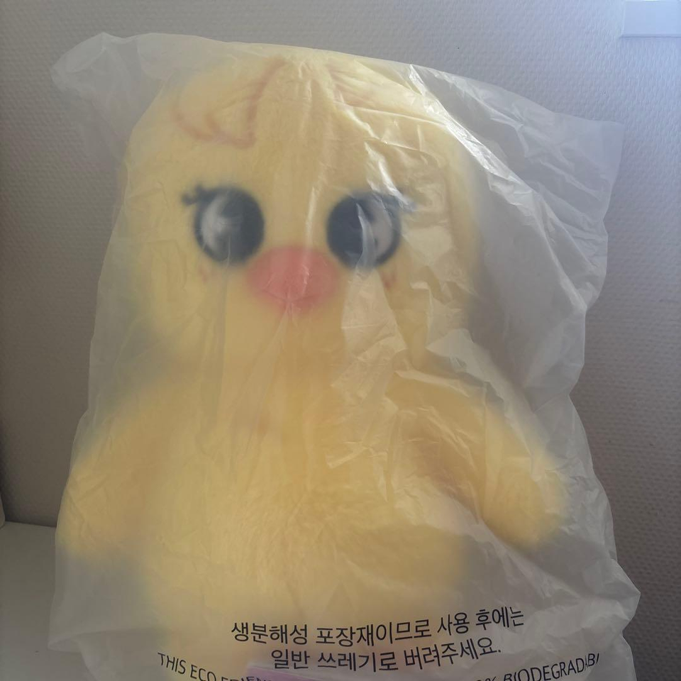 Stray Kids SKZOO BbokAri Plush Teddybear Ver. K-pop Official New 58cm 5 ...