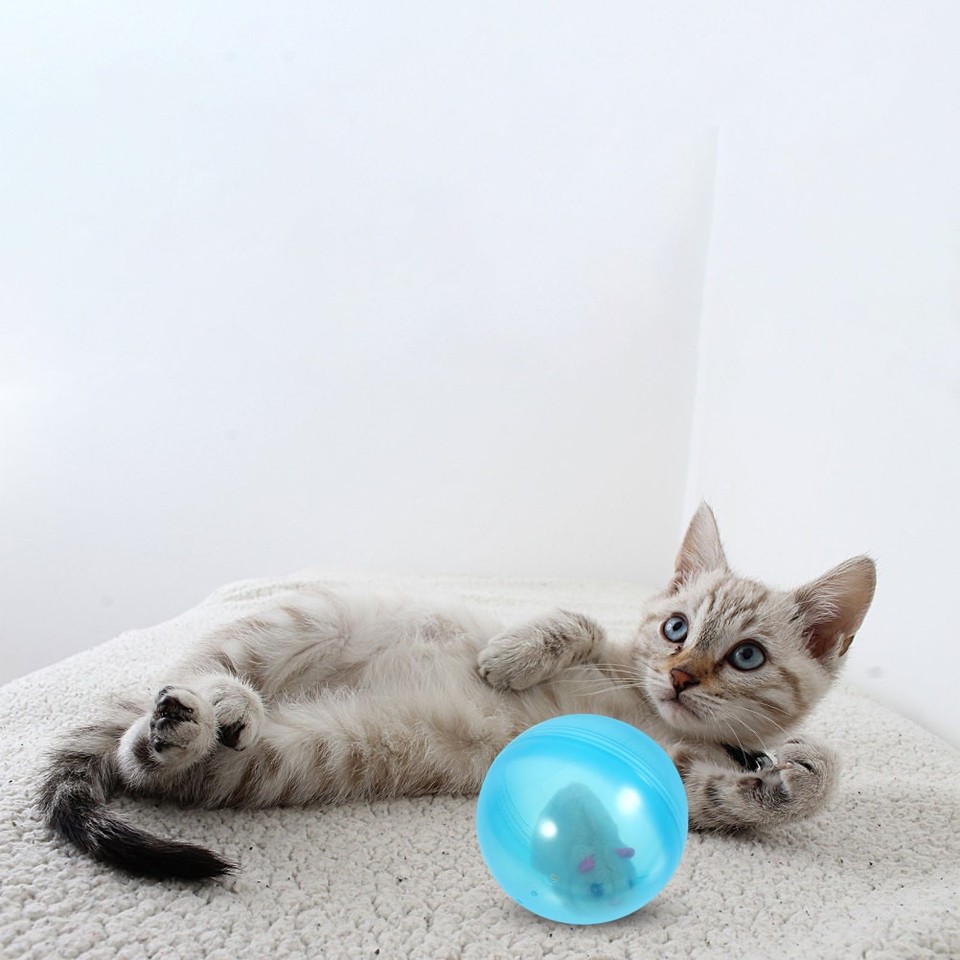 Cat Teaser Balls Kitten Teasing Toy Interactive Catching Toys Electric ...