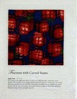 Fracture Frenzy Quilt Pattern Book by Brenda Esslinger of Ashton ...