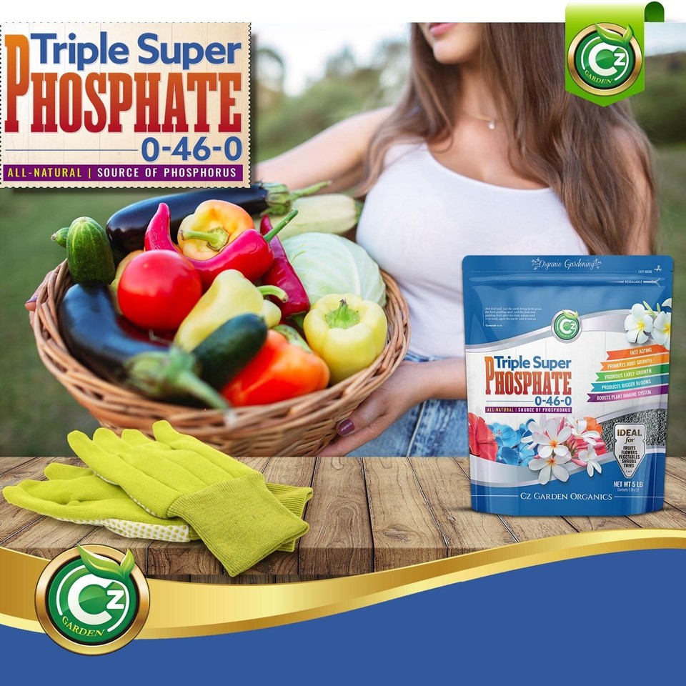 Triple Super Phosphate Fertilizer 0-46-0 | Phosphorus Fertilizer For ...