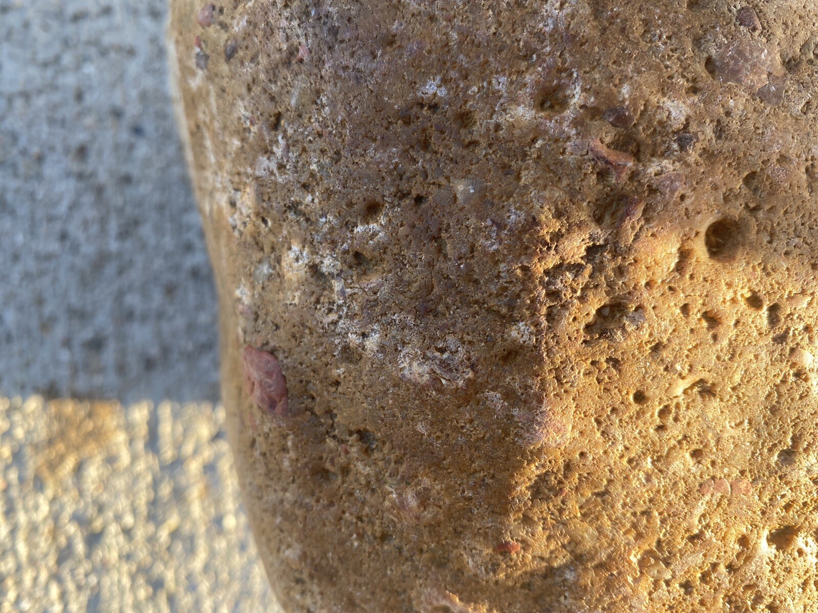 northern michigan puddingstone Rocks Rare Htf Light Brown Red Black ...