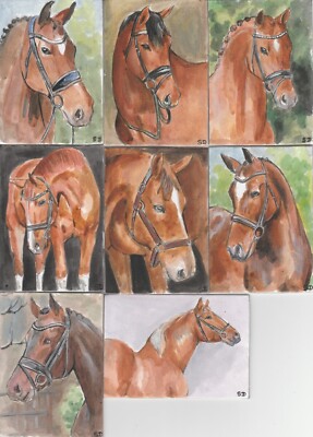 ACEO Original Painting 8 Pcs Lot Art Card horse Hand Painted | eBay