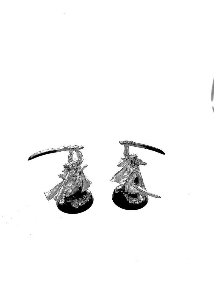 Elladan & Elrohir Elf Twins RARE MESBG Rivendell LOTR WARHAMMER Games ...