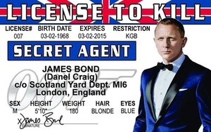 Daniel Craig James Bond novelty plastic collectors card Drivers License ...