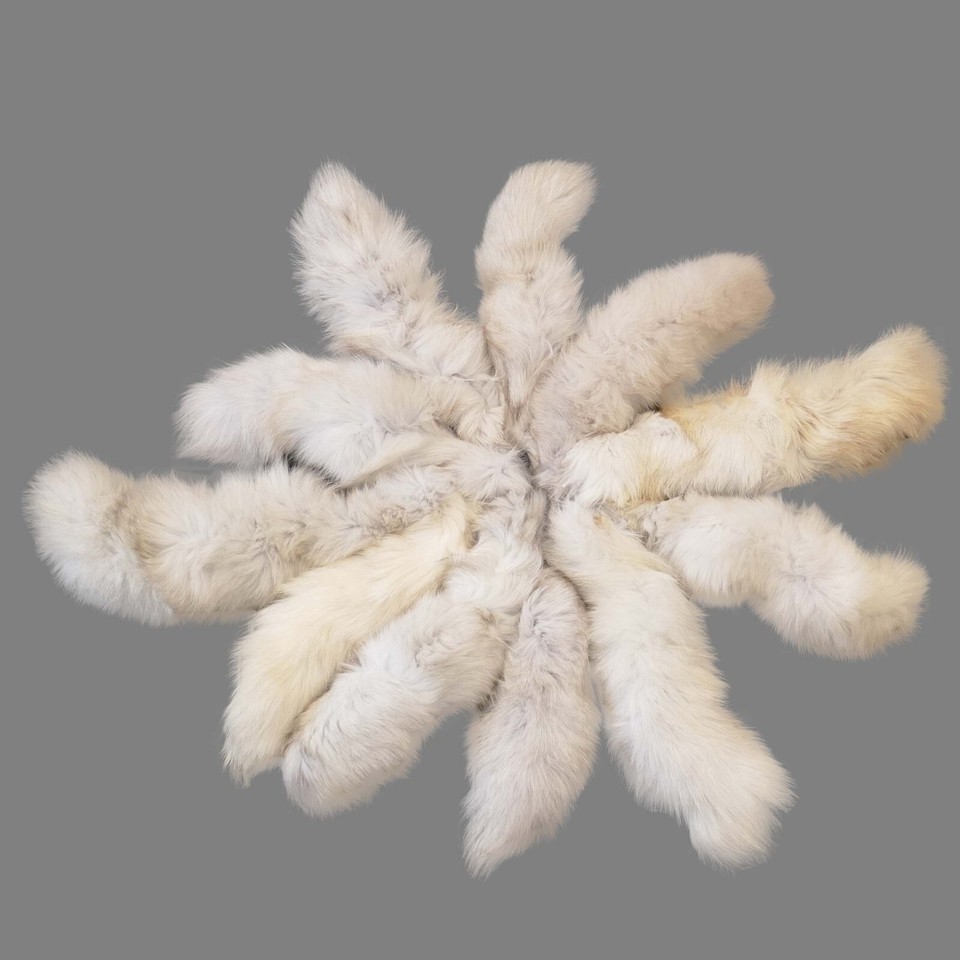 Glacier Wear Blue Fox/Blue Shadow Fox Tails-Assorted fxx1630 | eBay