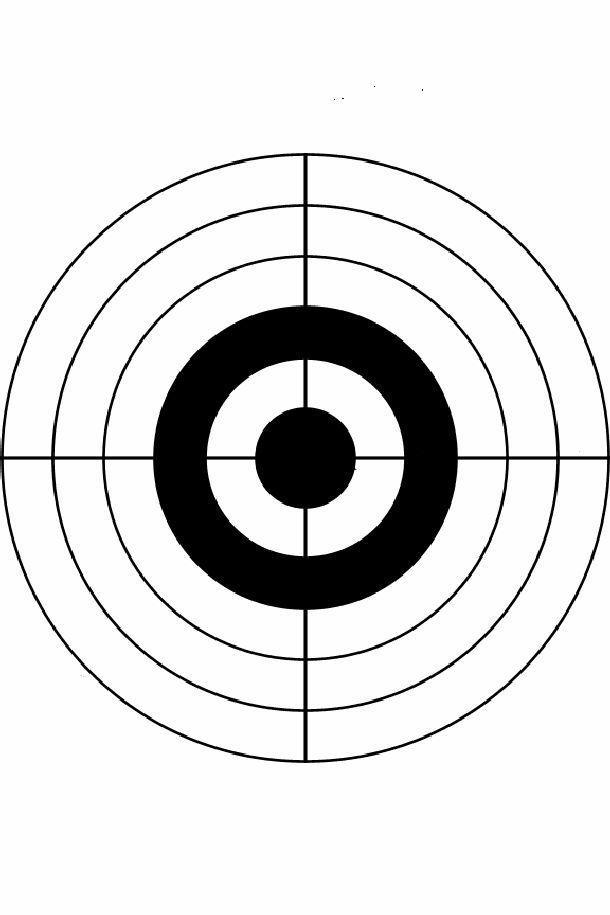 2100 Shooting Targets CD Guns Air Rifle Archery Gunsmithing Reloading ...