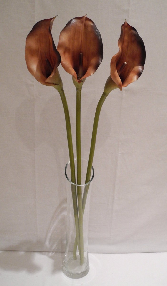 Brown Calla Lily Boho Dried Flowers Calla Lily 2 Art Print By Botanic