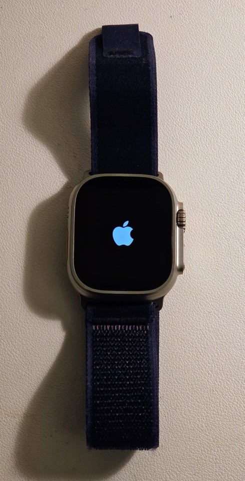 Apple Watch Ultra 2 Natural Titanium, Blue Trail Loop M/L. UK Spec | eBay
