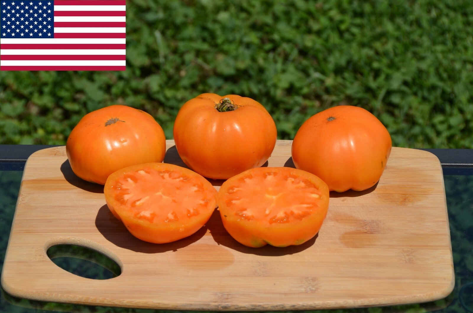 40+ Dr Wyche's Organic Tomato Seeds by Ohio Heirloom Seeds | eBay